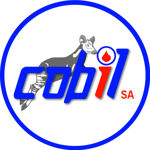 Archives des Formation - Cobil SA